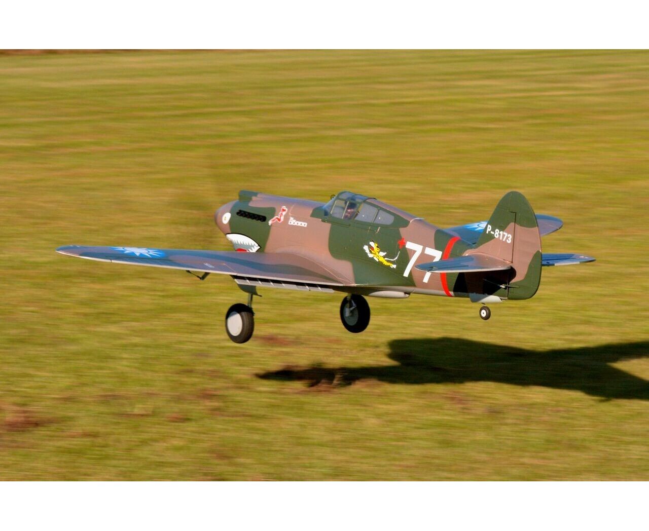 Flugzeug :: RC Motorflugzeug :: FMS P-40B Curtiss Warhawk Flying Tiger ...